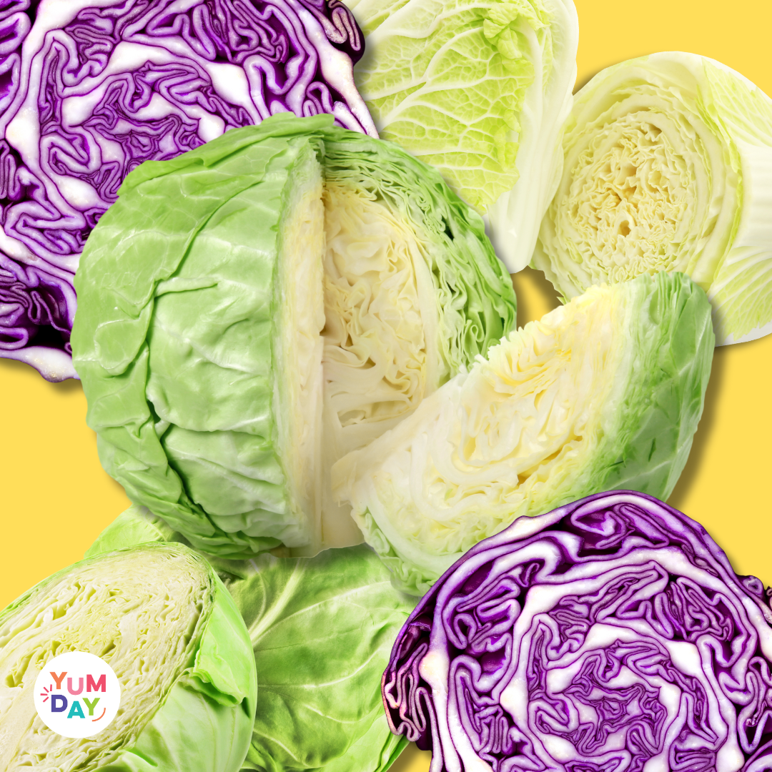 February 17: National Cabbage Day – Yumday
