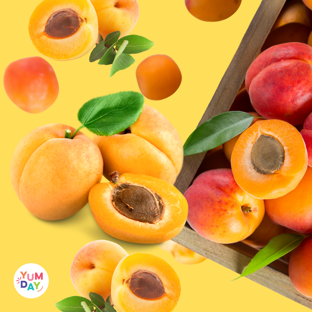 January 9: National Apricot Day – Yumday